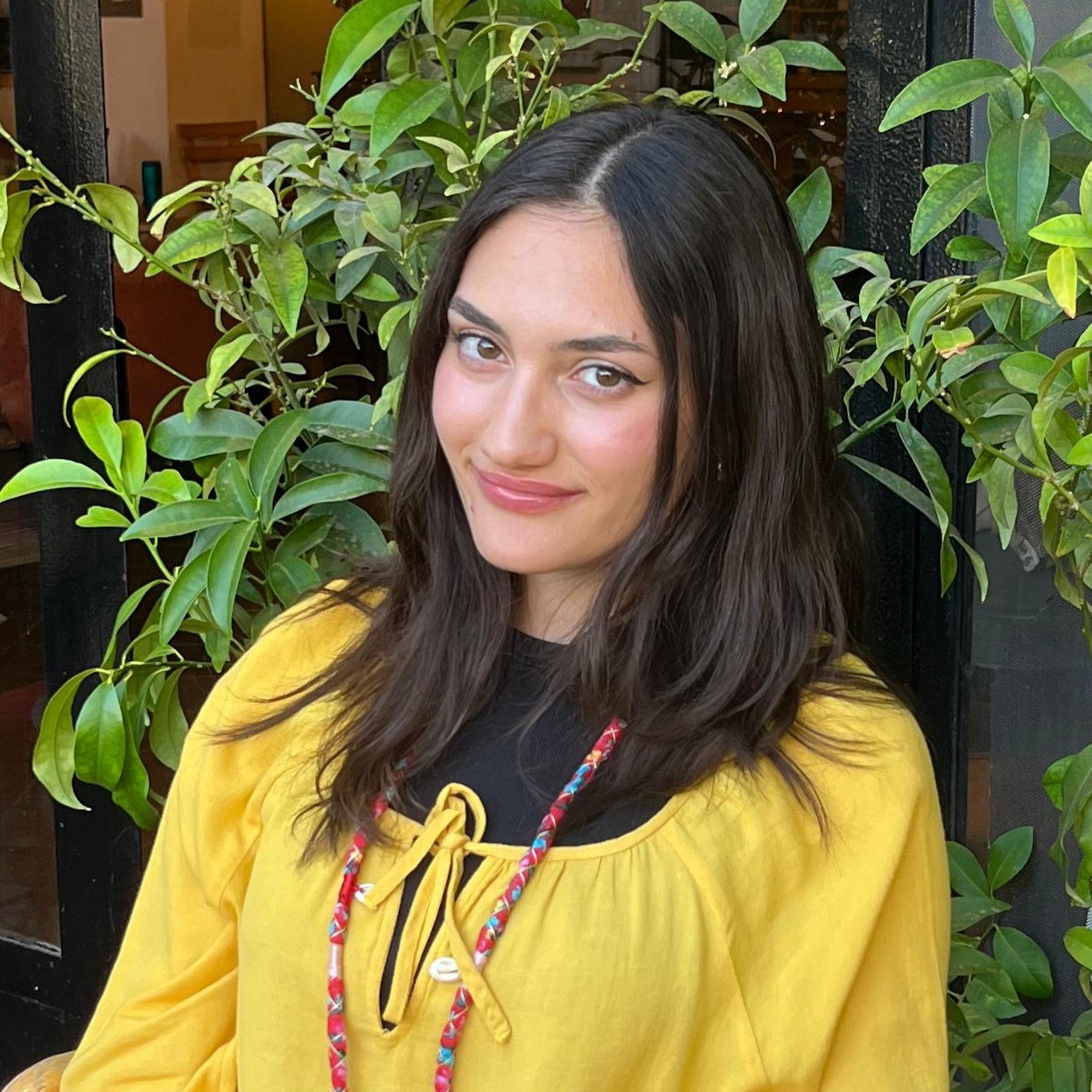 Codescape 2025 | IEEE CS UJ